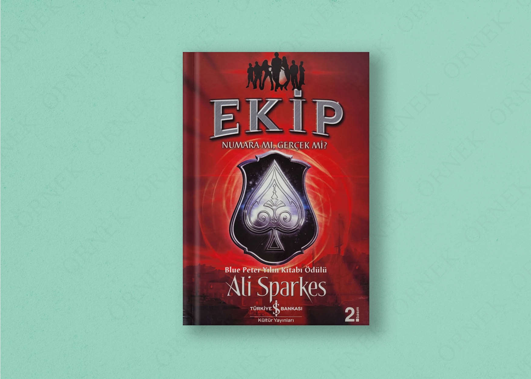 Tarjetas electrónicas | Günebakan Aile, Çocuk ve Eğitim Vakfı | Fonzip